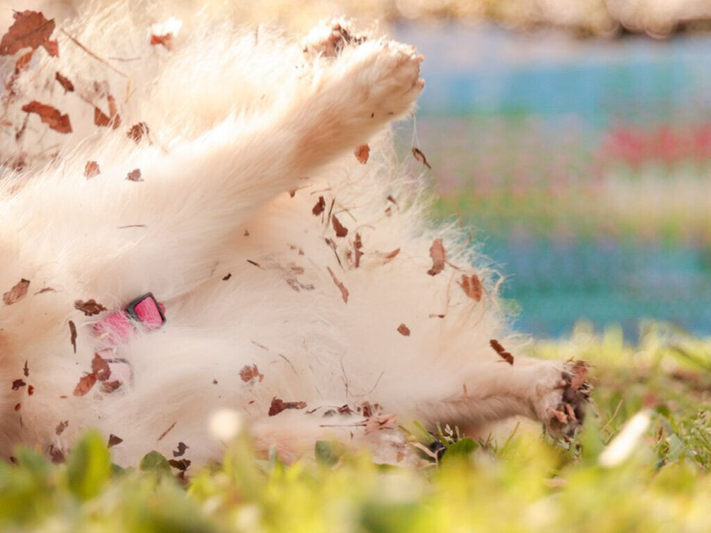 MAGMOE: "https://www.magmoe.com/2261120/entertainment-news…" - Mastodon